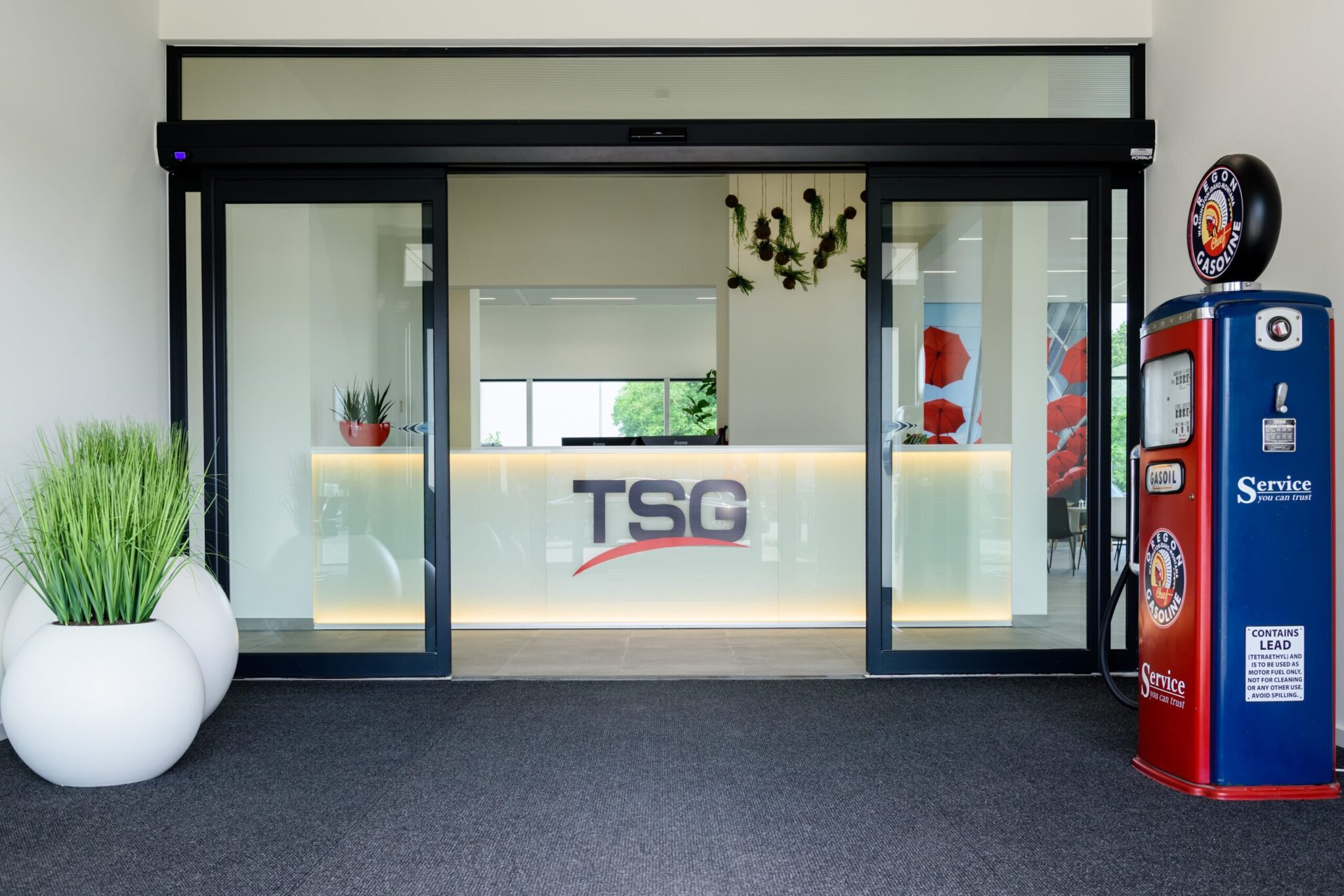 The management group for TSG is responsible for TSG's activities